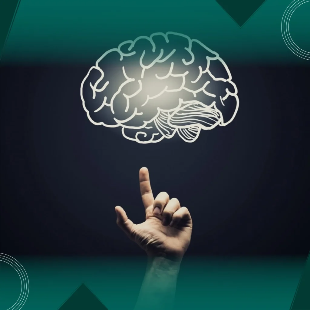 UNDERGRADUATE PROGRAMMES - Ziauddin University